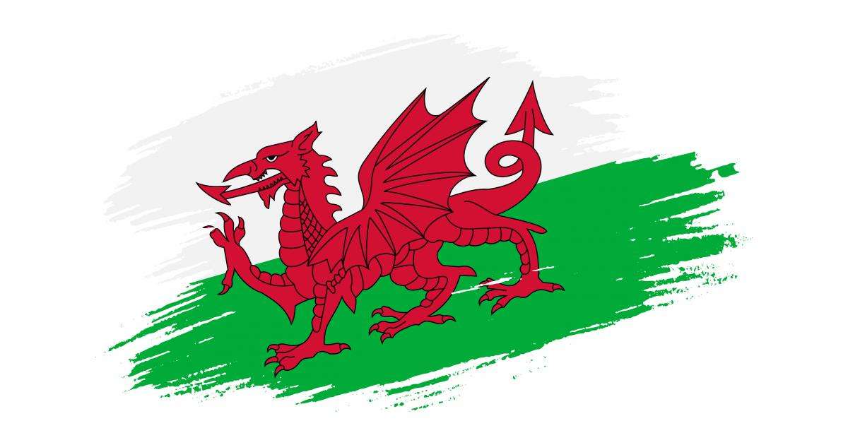 Team BASW Cymru | BASW