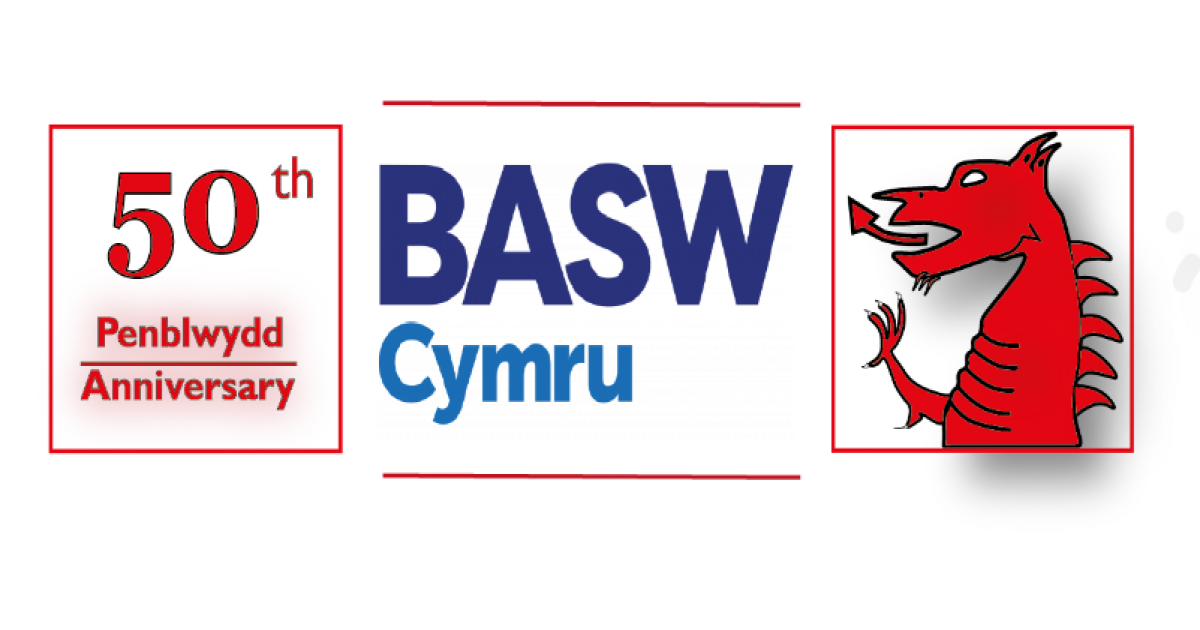 BASW Cymru Heritage Project | BASW