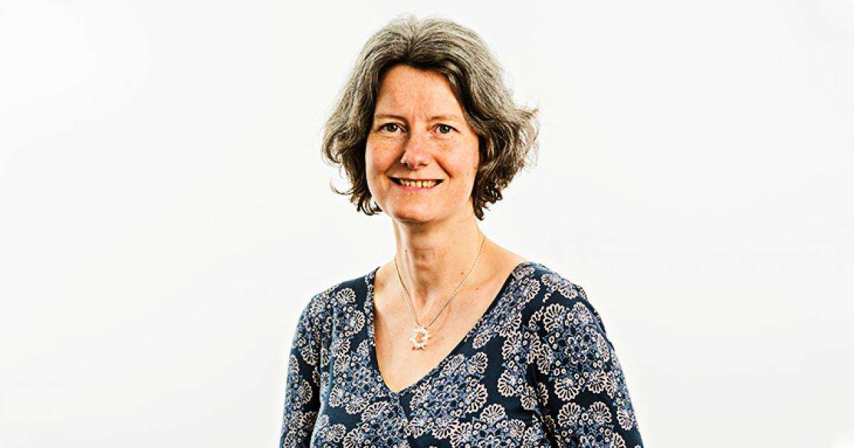 Update from BASW Council | BASW